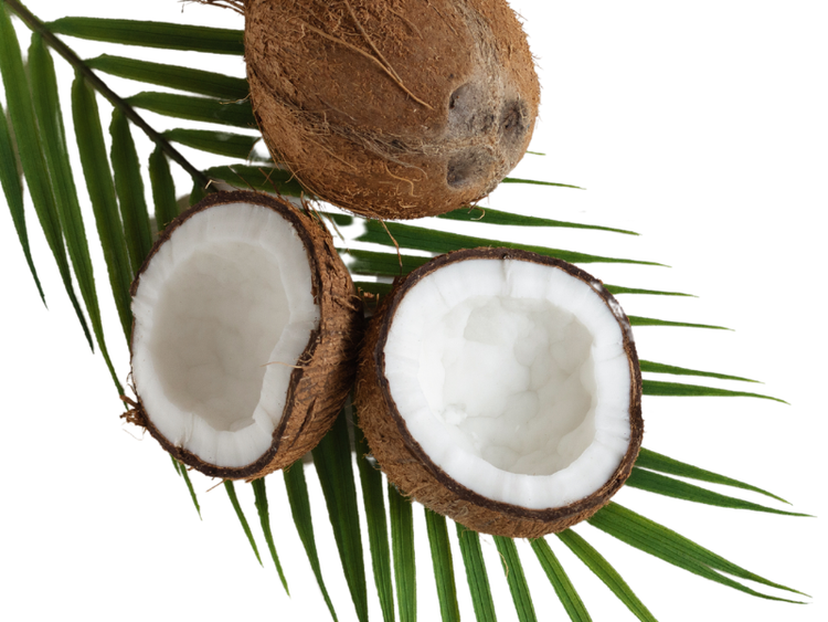 Pure & Coco | Organic & Natural Skincare